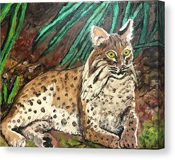 2114 bobcat Original Hand Painted Acrylic or - Etsy