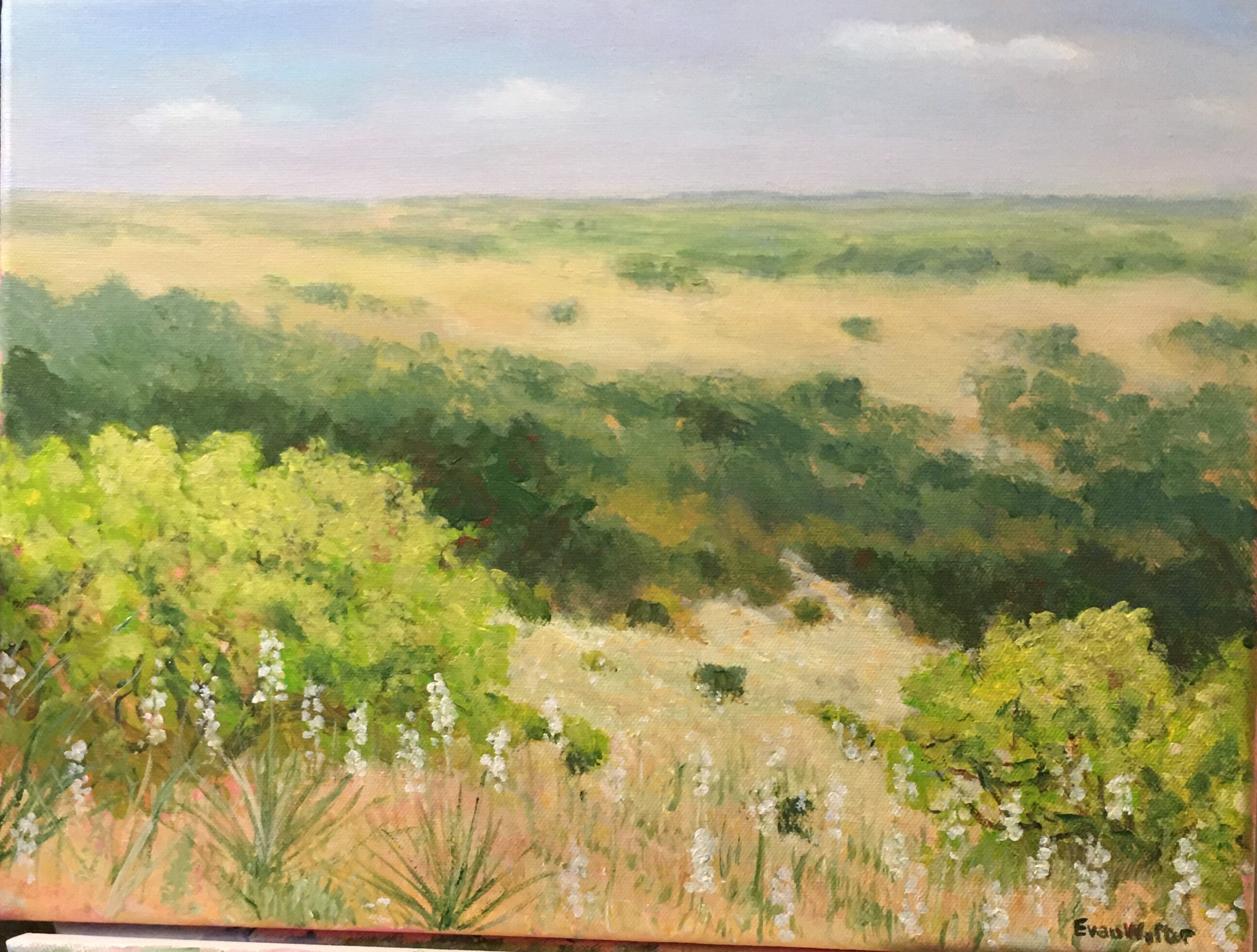Texas Panhandle Landscape - Etsy