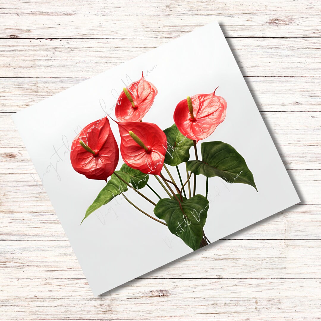 3D Anthurium Flower Tumbler Wrap 20oz Straight Tumbler Full - Etsy