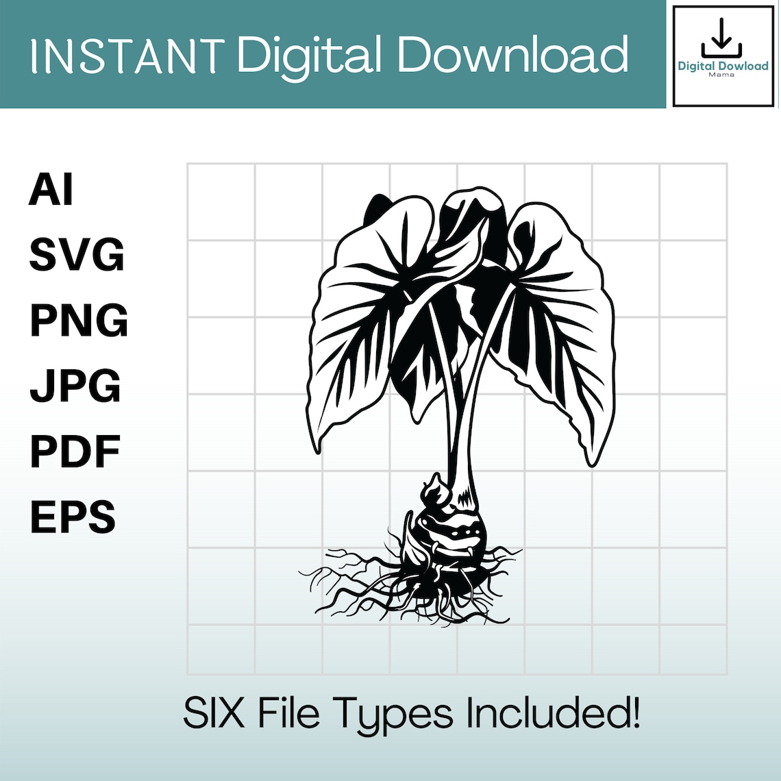 Kalo Plant Clipart Instant Download Ai / Svg / Png / Jpg / Pdf / Eps ...