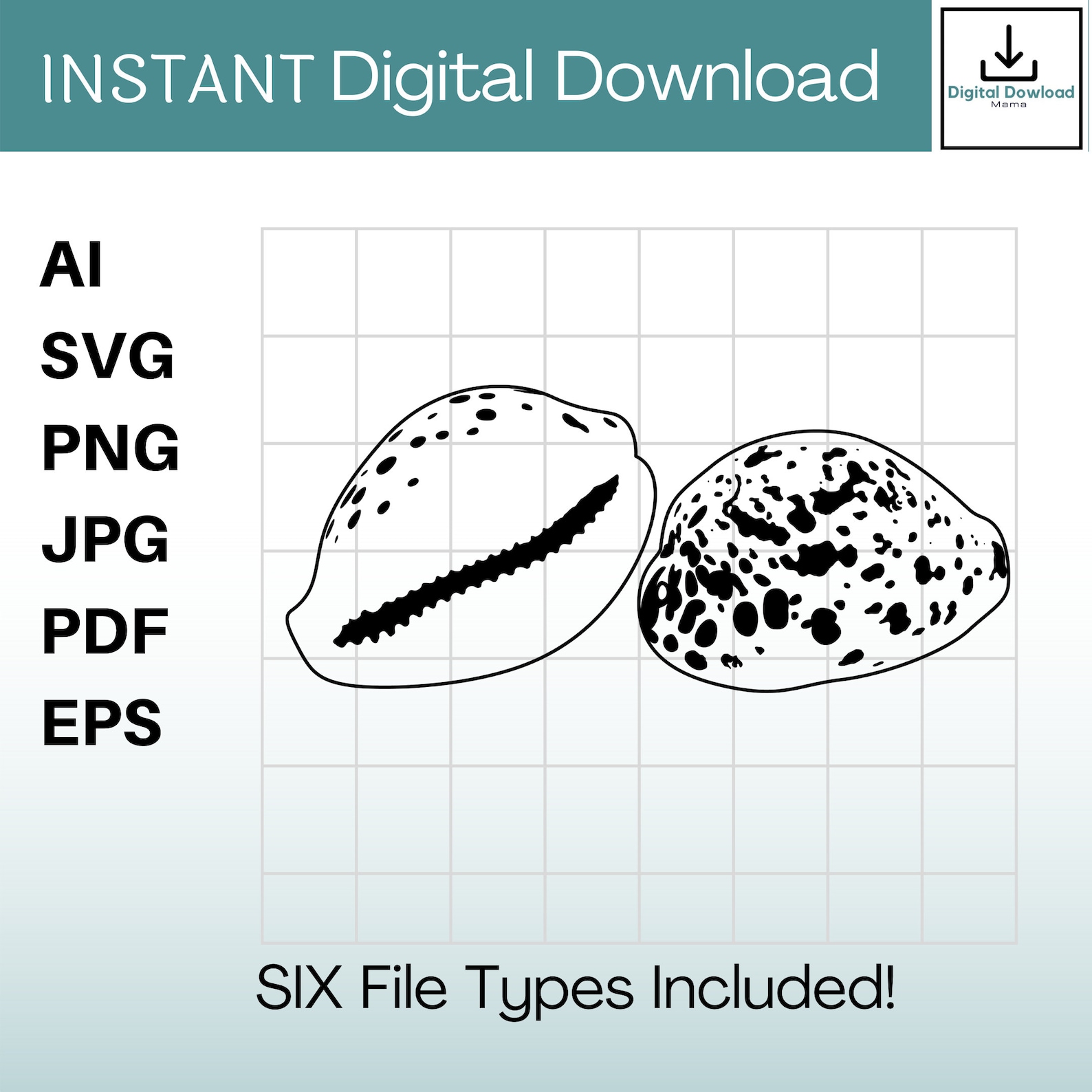 Cowrie Shell Clipart Instant Download Ai / Svg / Png / Jpg / Pdf / Eps ...