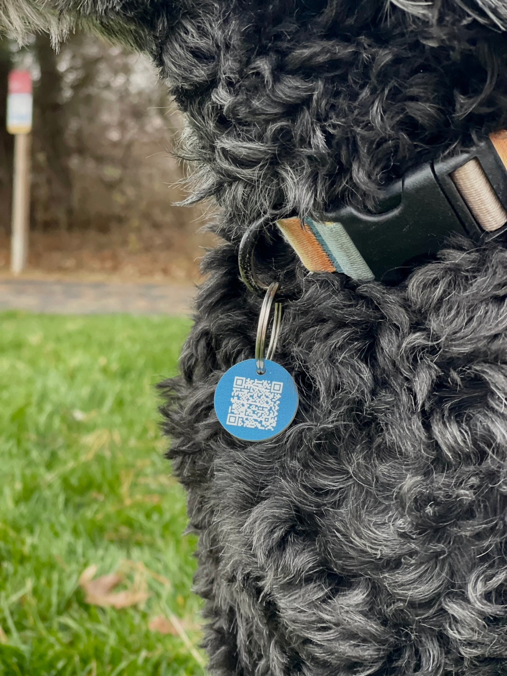 QR Code Pet ID Tag, Custom - Etsy