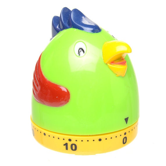Bird / Parrot Kitchen Timer - Etsy