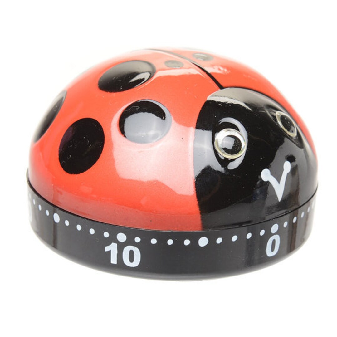 Ladybug Kitchen Timer Glossy and Detailed - Etsy