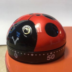 Ladybug Kitchen Timer Glossy and Detailed - Etsy