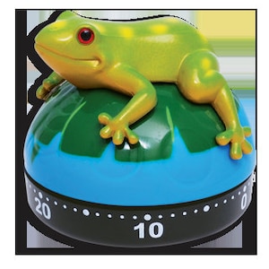 Frog Kitchen Timer Glossy and Detailed - Etsy