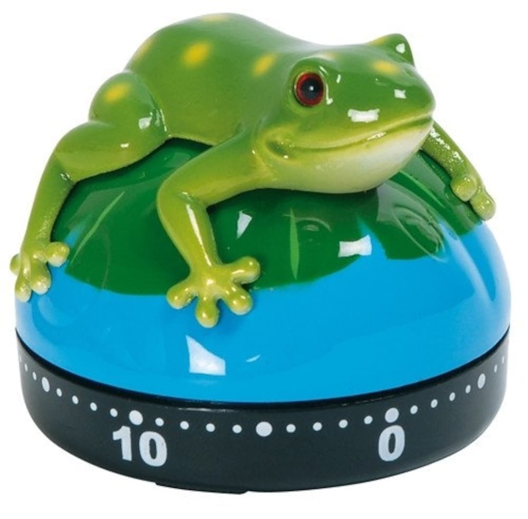 Frog Kitchen Timer Glossy and Detailed - Etsy
