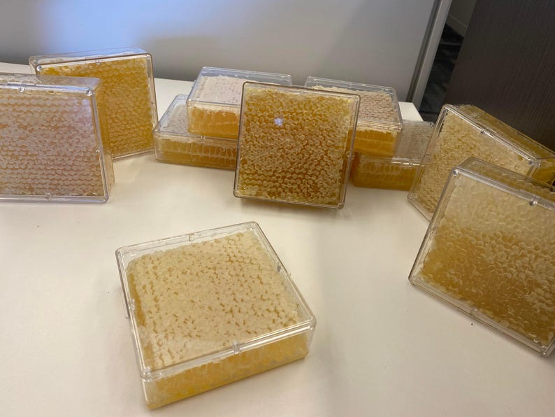 Raw Comb Honey: Unfiltered Rooftop Honeycomb - Etsy