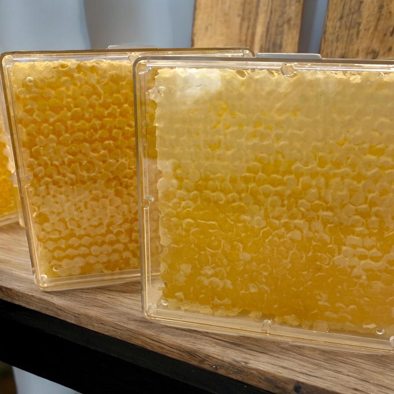 Raw Comb Honey: Unfiltered Rooftop Honeycomb - Etsy