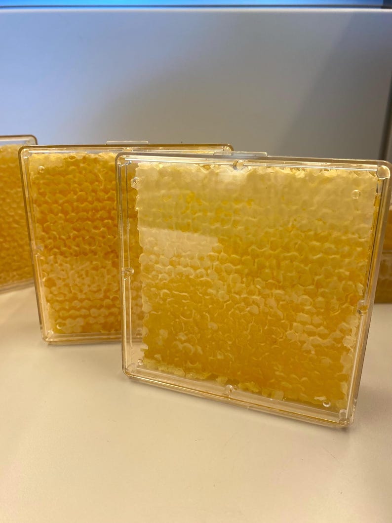 Raw Comb Honey: Unfiltered Rooftop Honeycomb - LIMITED - Etsy