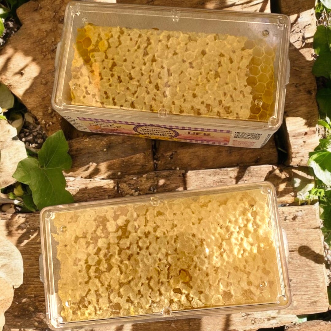 Raw Comb Honey: Unfiltered Rooftop Honeycomb - LIMITED - Etsy