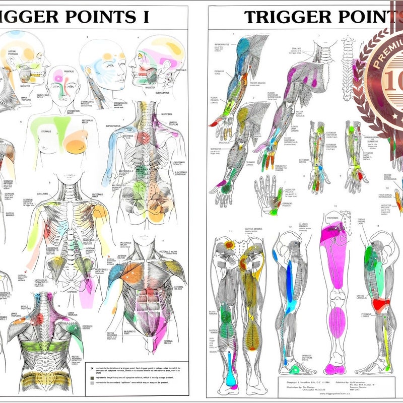 Emotional Pain Body Chart - Etsy