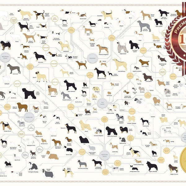Dog Breeds Chart - Etsy