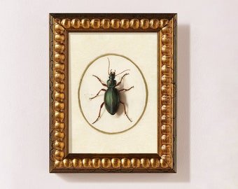 Gothic Insect Bug - Etsy