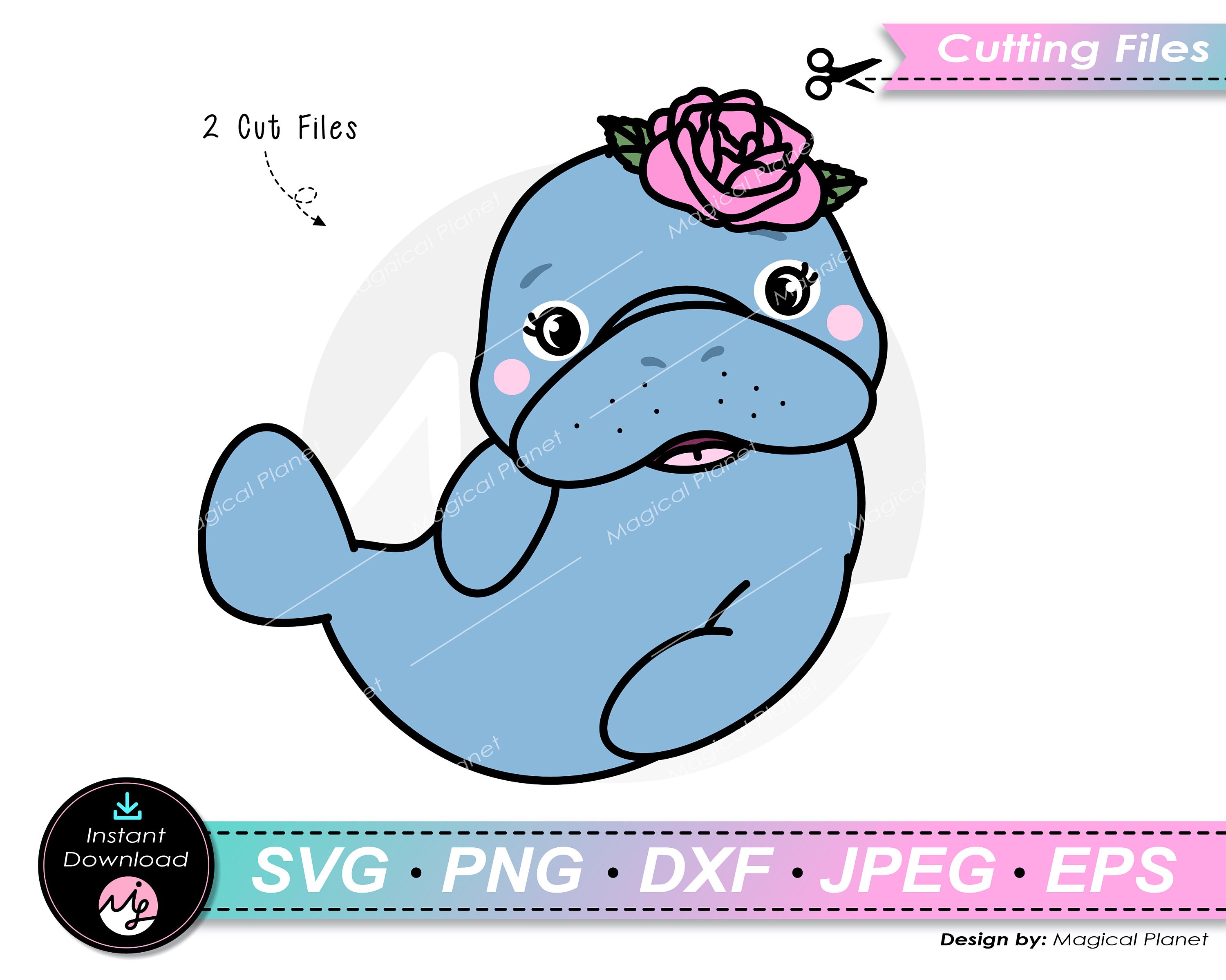 Cute Manatee