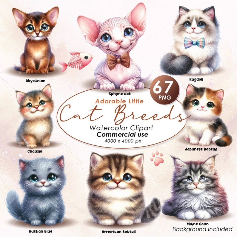Adorable Cat Breeds Clipart, Watercolor Cat Breeds Illustration Clipart ...
