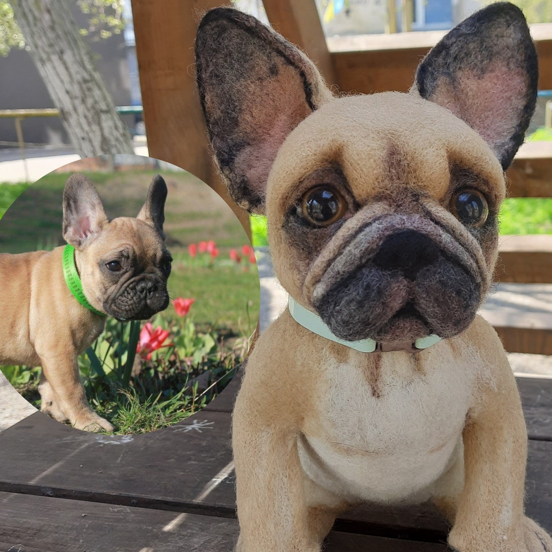Realistic French Bulldog Taken From a Photo of a Real Animal Dog by ...