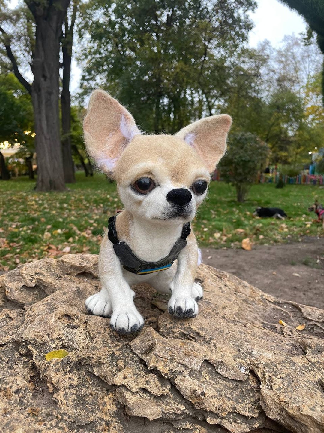 Felted Chihuahua Lucky Assistant Minesniffer Who Helps the Ukrainian ...
