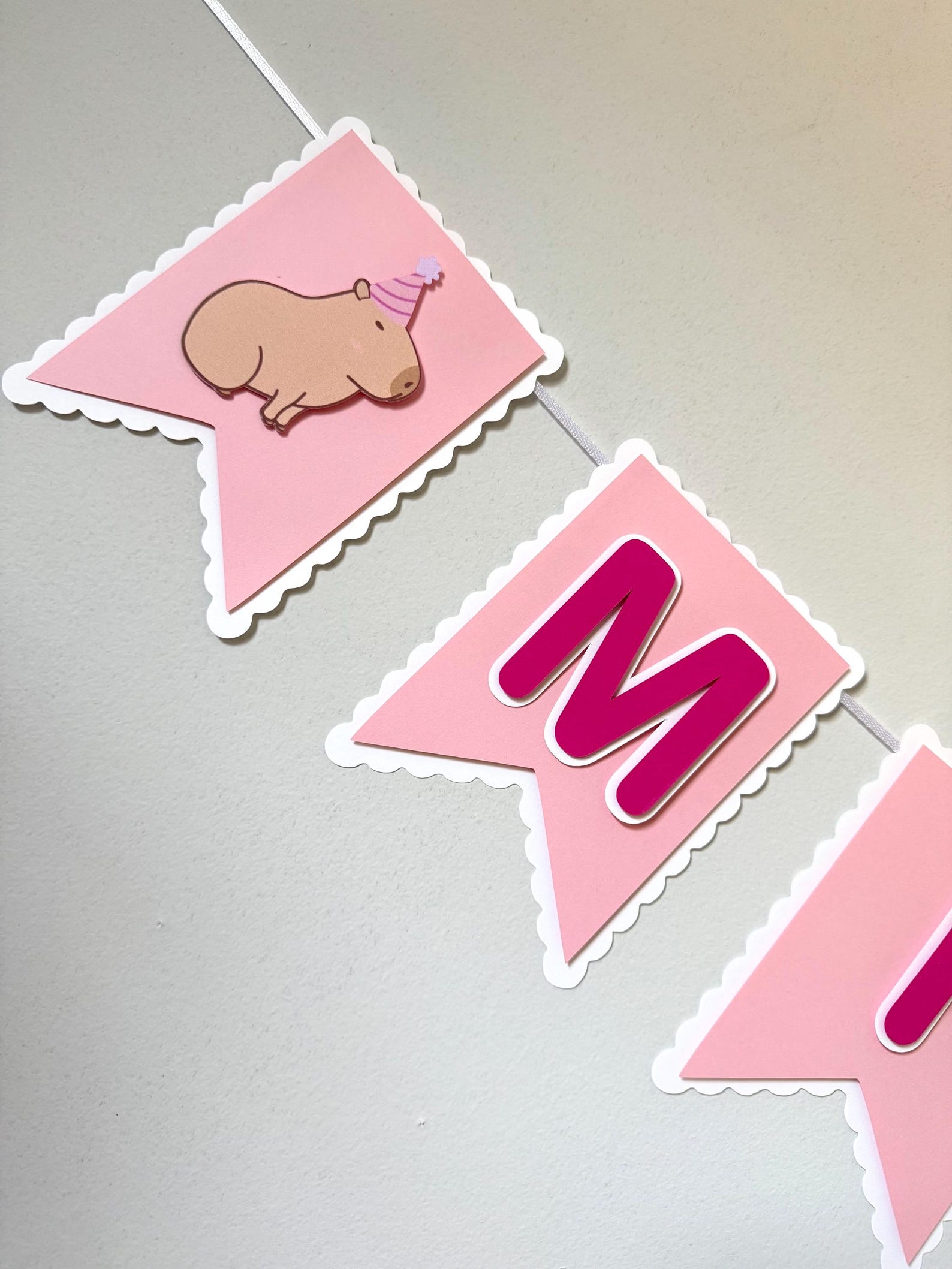 Capybara Banner, Cappy Birthday, Capybara Party, Capybara Decoration ...