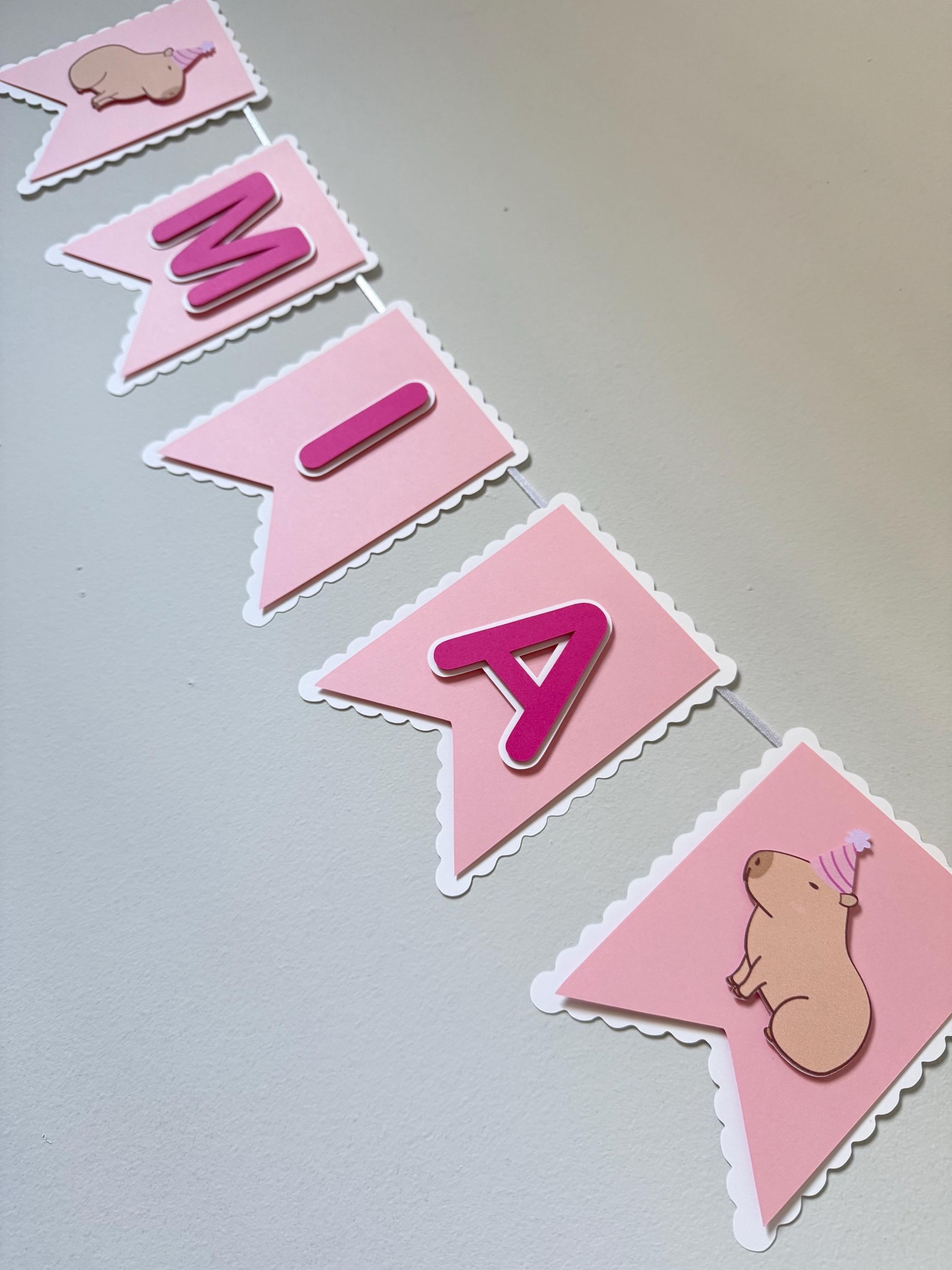 Capybara Banner, Cappy Birthday, Capybara Party, Capybara Decoration ...