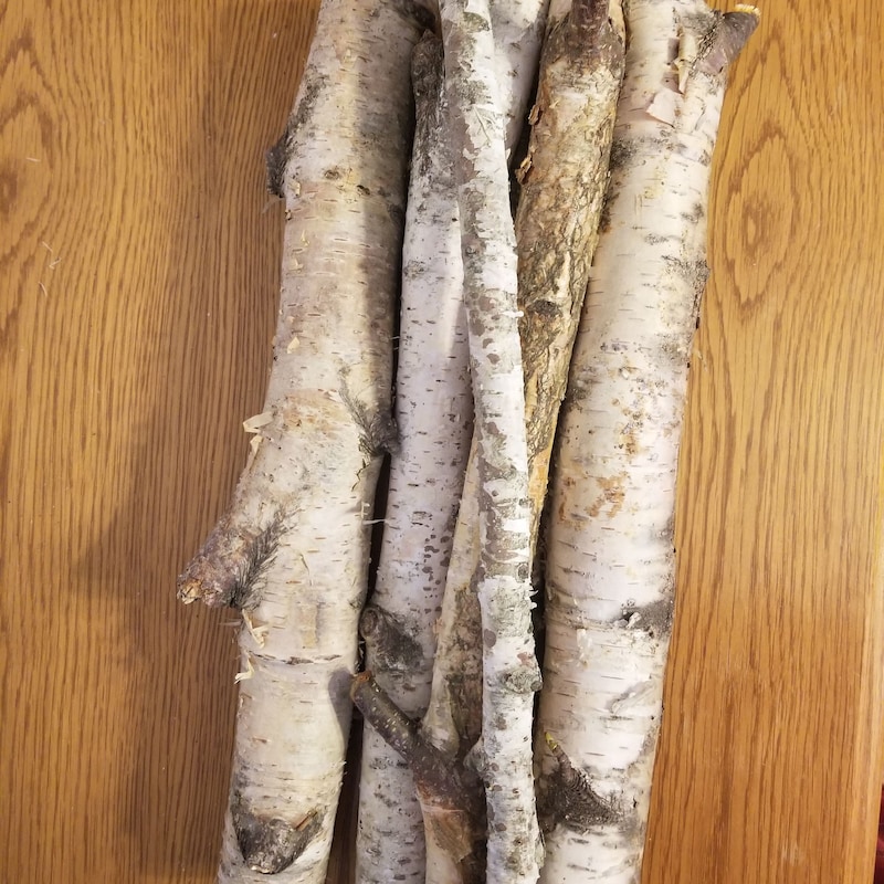 Birch Logs - Etsy