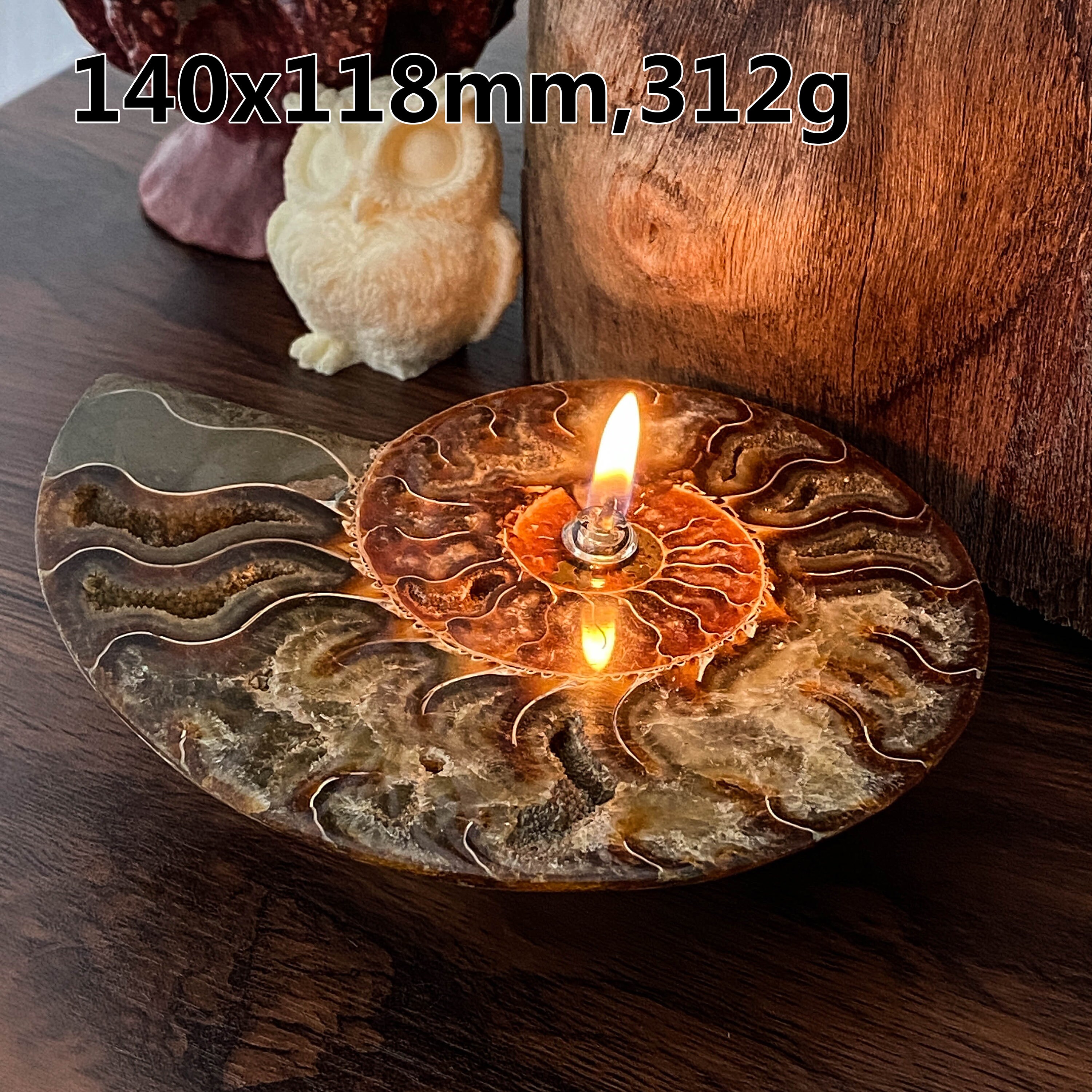 Dinosaur Era Ammonite Fossil Specimen Conch Oil Candle Kit, Unique ...