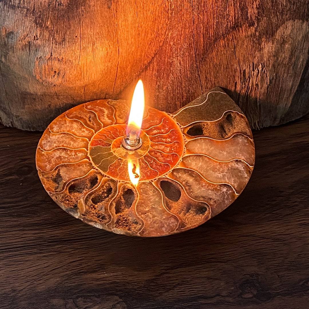 Ammonite Fossil Conch Oil Candle Kit -ancient Marine Relic, Handcrafted ...