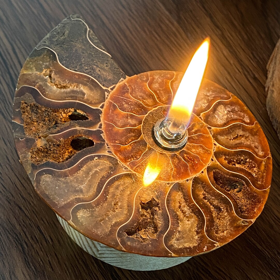 Ammonite Fossil Conch Oil Candle Kit -ancient Marine Relic, Handcrafted ...