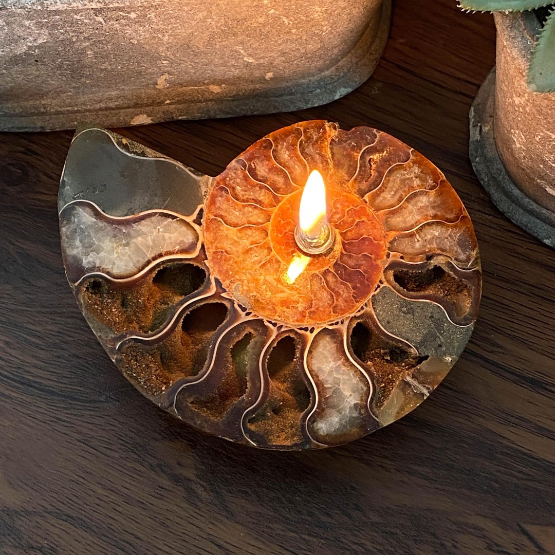 Ancient Glow - Handmade Ammonite Fossil Conch Oil Candle Kit, Unique ...