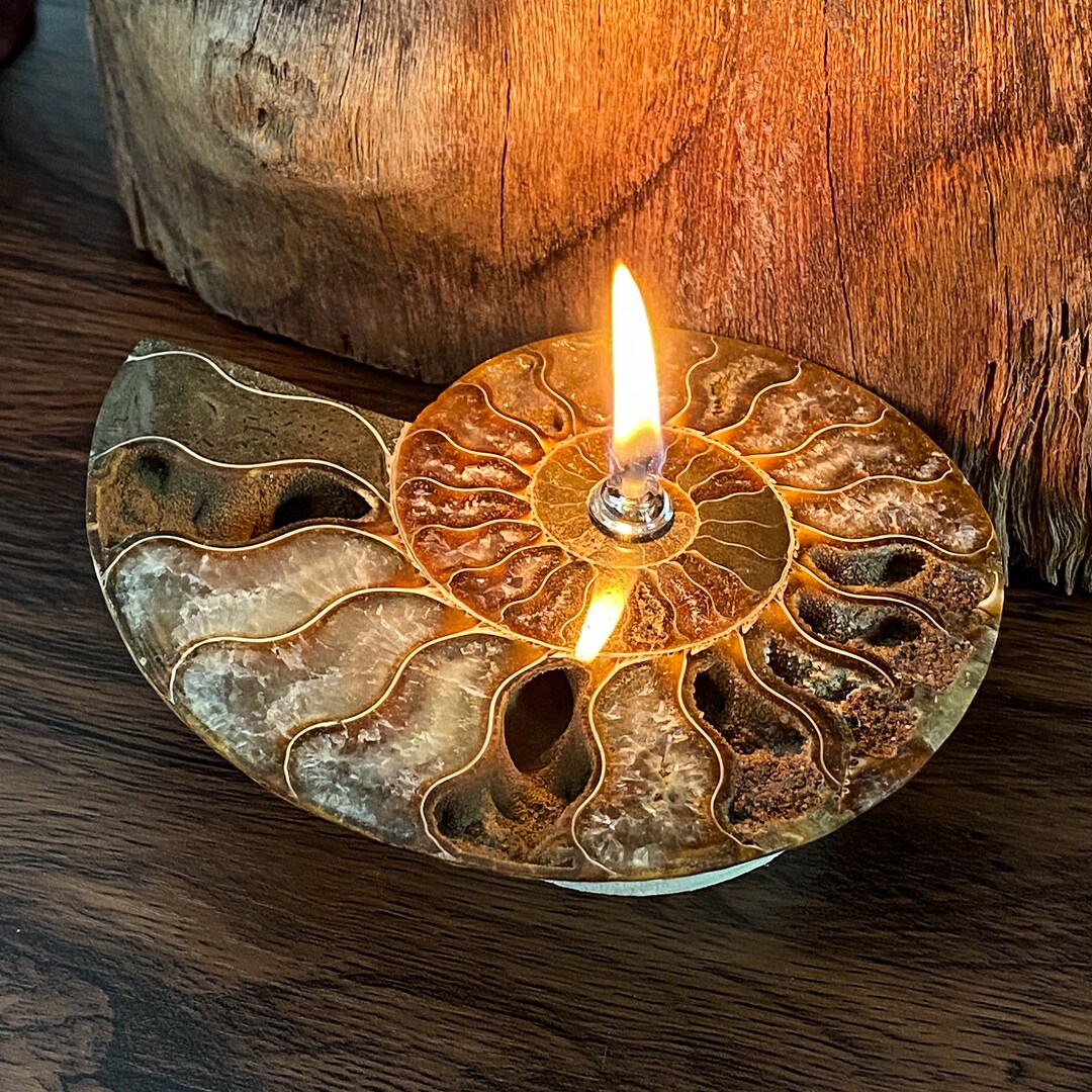 Ammonite Fossil Conch Oil Candle Kit -ancient Marine Relic, Handcrafted ...