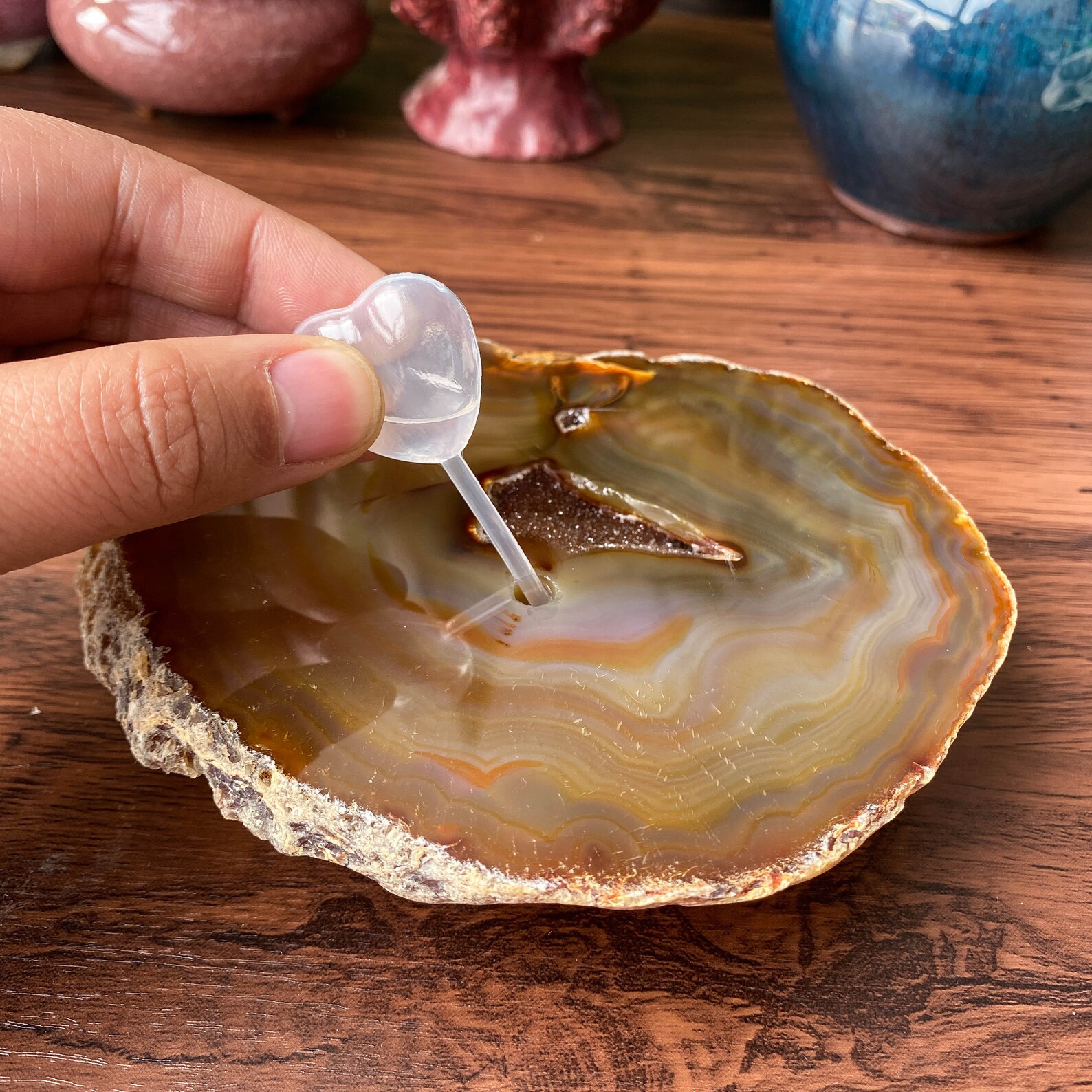 Natural Room Freshener Ammonite Fossil Conch Oil Candle Kit ancient ...