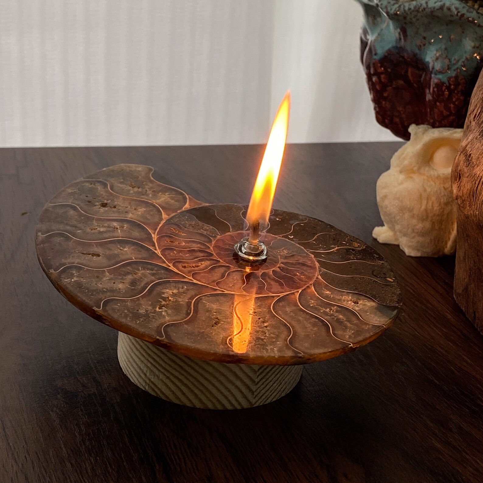 Natural Room Freshener Ammonite Fossil Conch Oil Candle Kit ancient ...