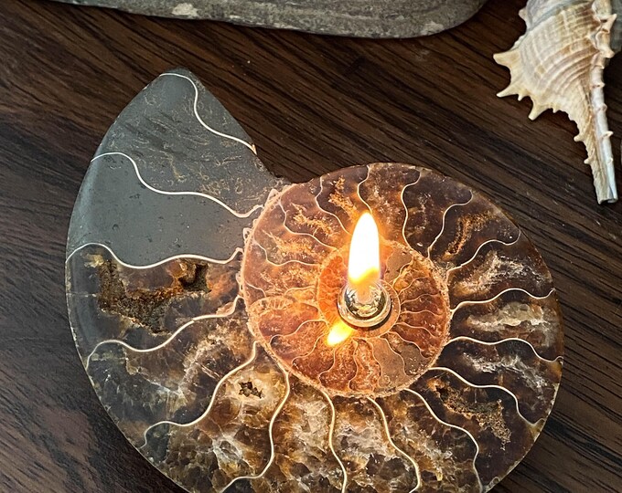 Ancient Glow - Handmade Ammonite Fossil Conch Oil Candle Kit, Unique ...