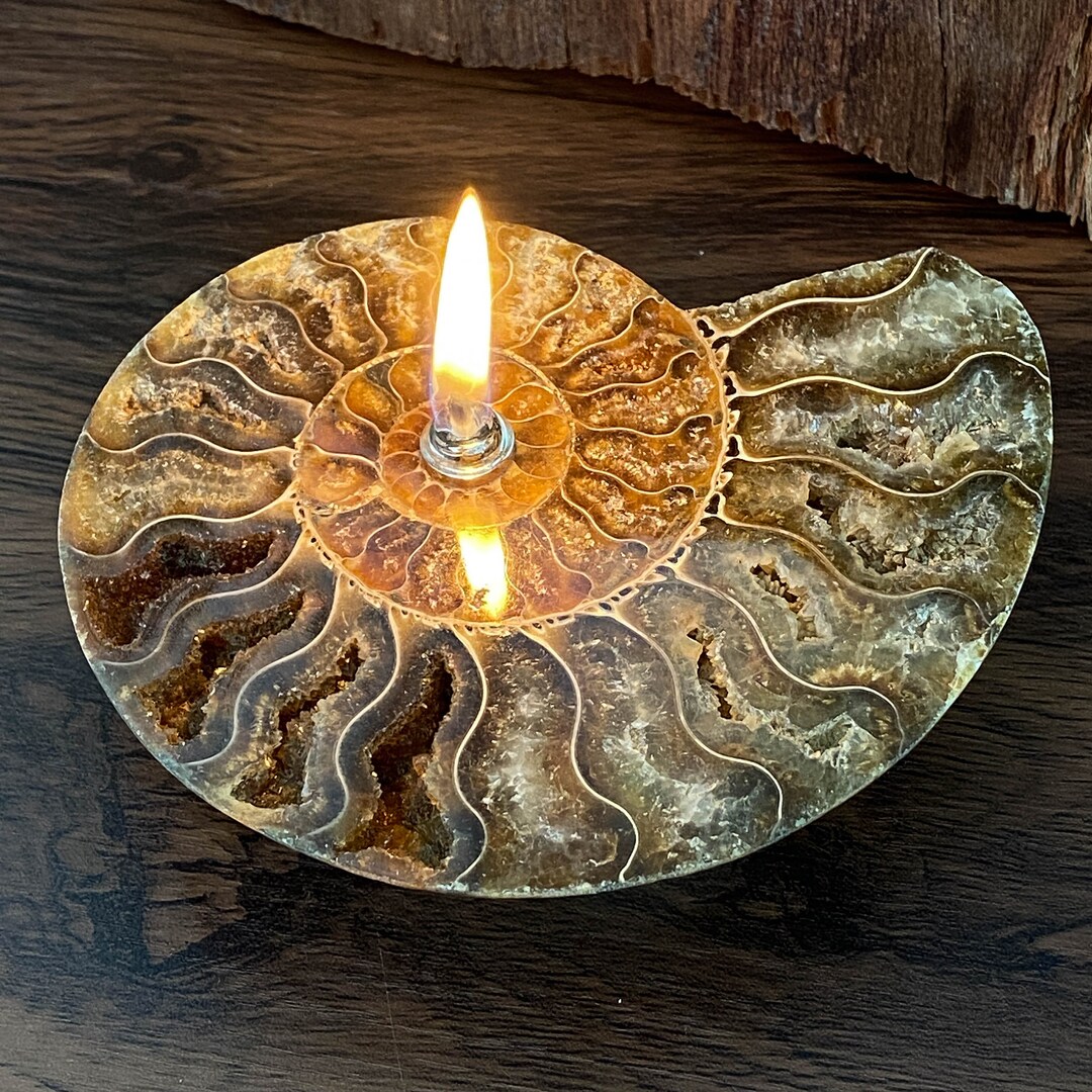 Ammonite Fossil Conch Oil Candle Kit -ancient Marine Relic, Handcrafted ...