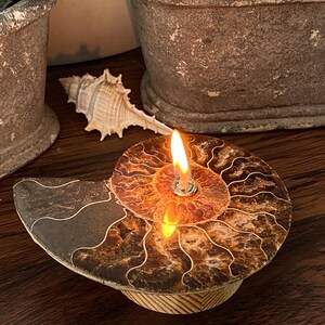 Ancient Glow - Handmade Ammonite Fossil Conch Oil Candle Kit, Unique ...