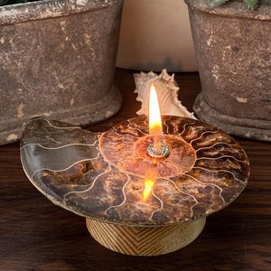 Ancient Glow - Handmade Ammonite Fossil Conch Oil Candle Kit, Unique ...