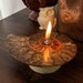 Natural Room Freshener Ammonite Fossil Conch Oil Candle Kit ancient ...