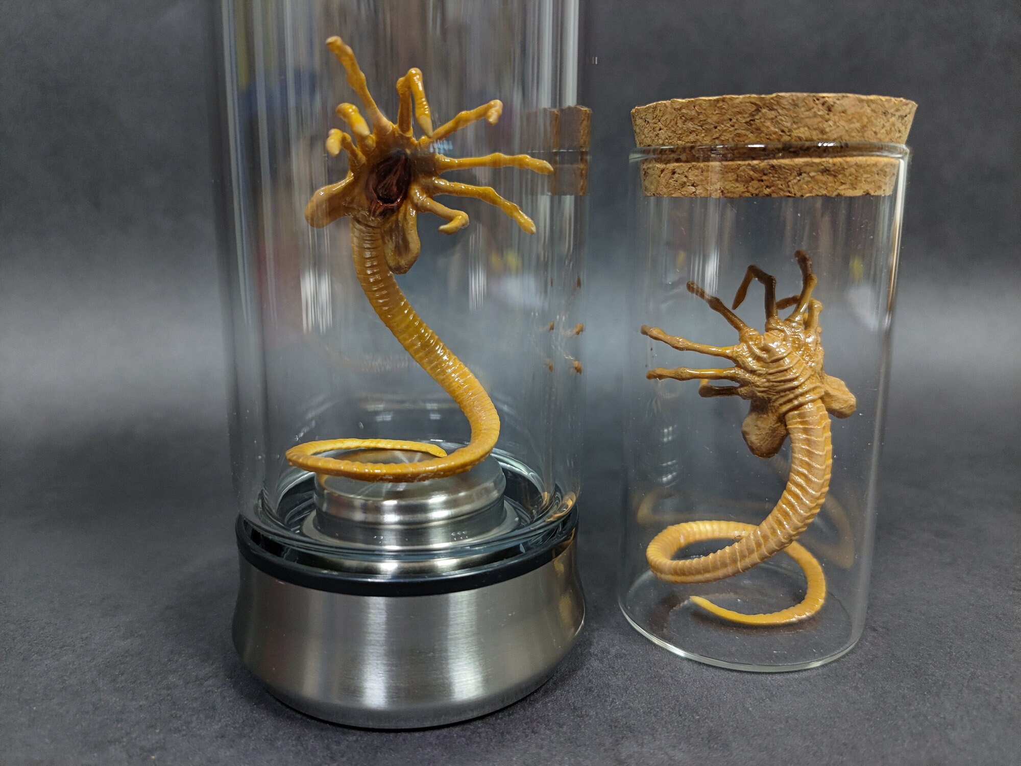 Alien Jar Xenomorph Facehugger Specimen Embryo Glass Jar Movie - Etsy ...