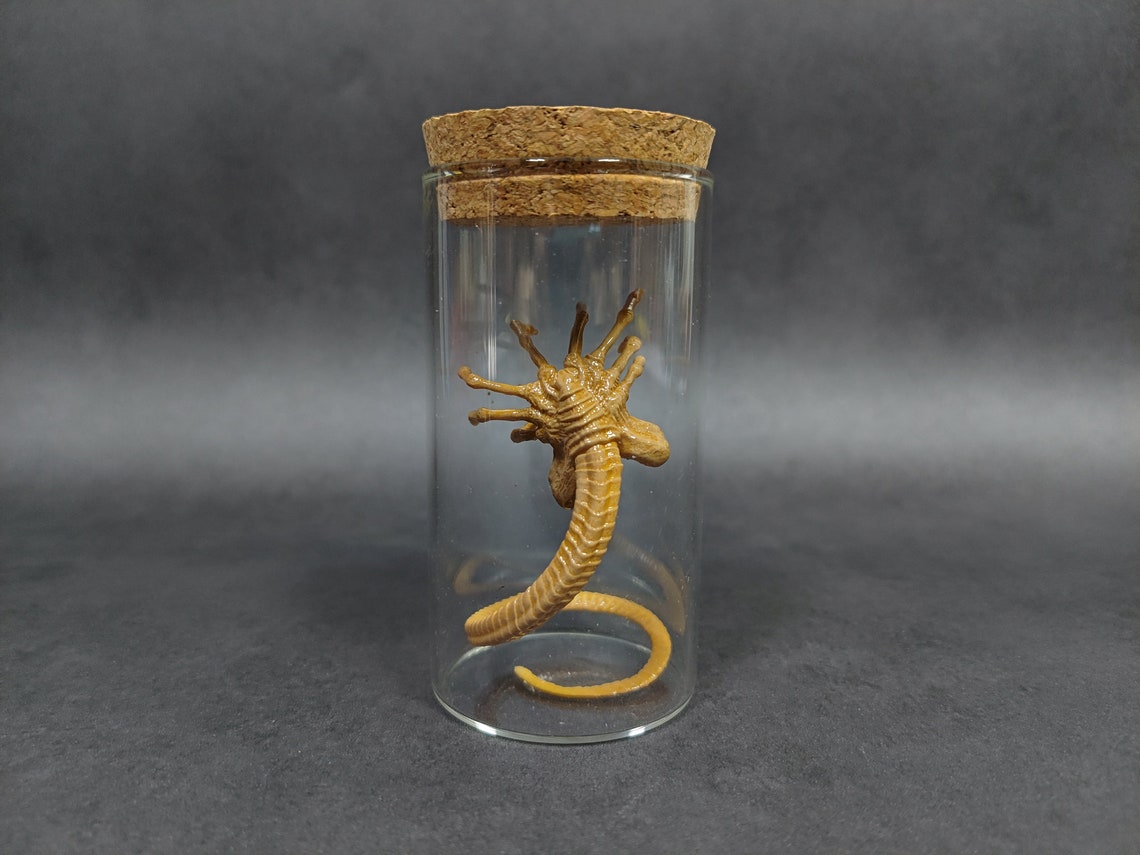 Alien Jar Xenomorph Facehugger Specimen Embryo Glass Jar Movie - Etsy ...