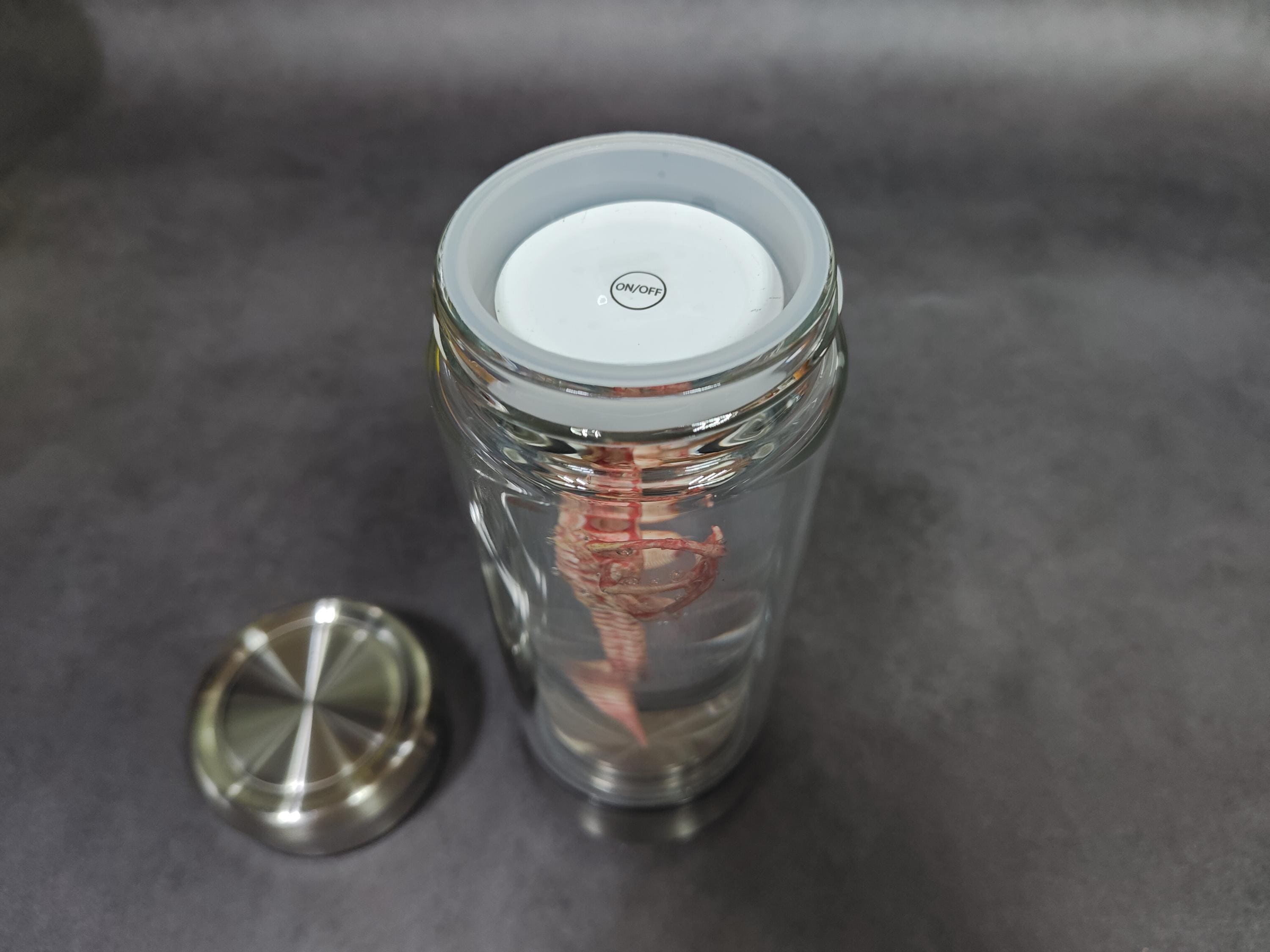 Jurassic Park Dinosaur Embryo Jar Jurassic World Velociraptor Blue ...