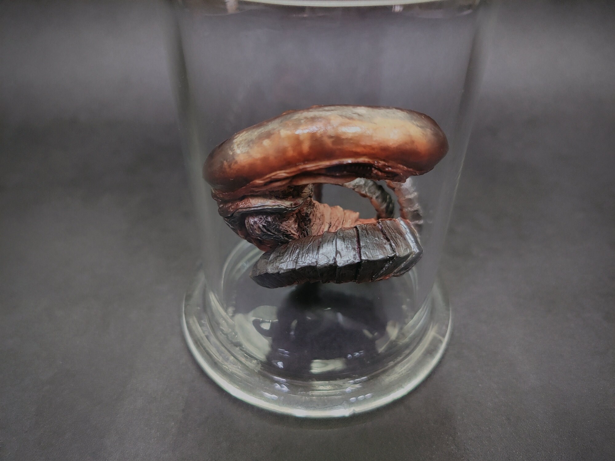 Alien Jar Xenomorph Specimen Chestburster Embryo Glass Jar - Etsy UK