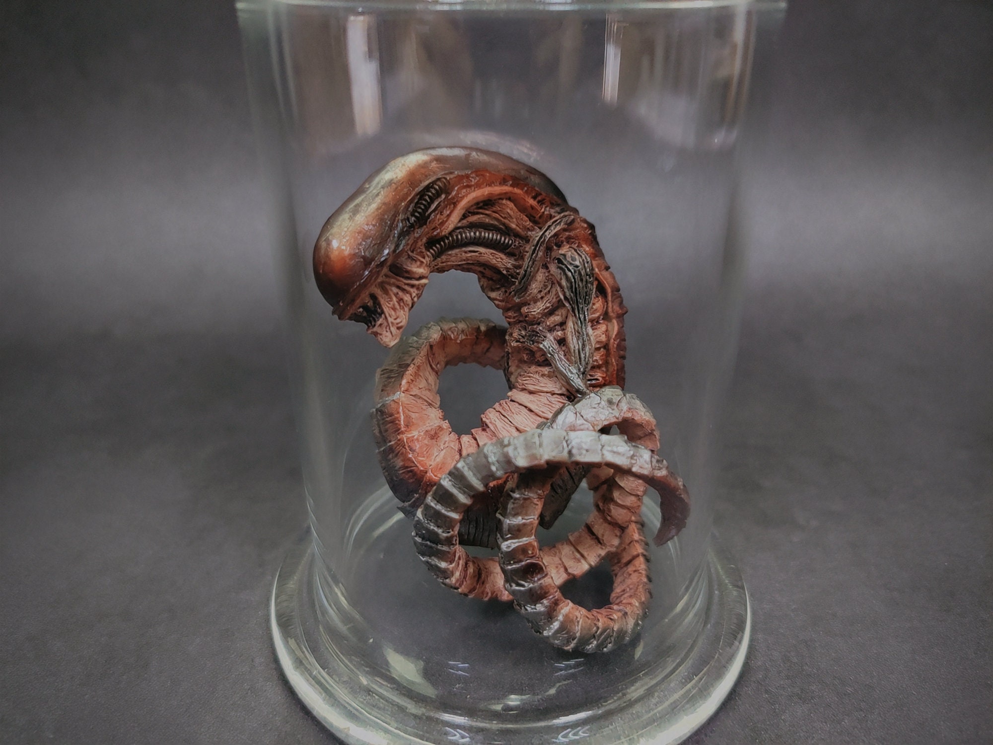 Alien Jar Xenomorph Specimen Chestburster Embryo Glass Jar - Etsy UK