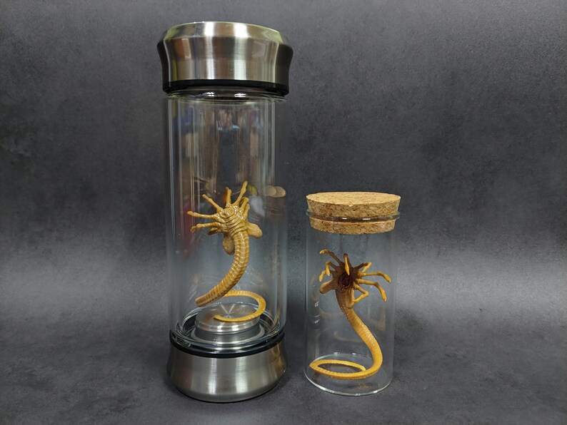 Alien Jar Xenomorph Facehugger Spécimen Embryon Glass Jar - Etsy France