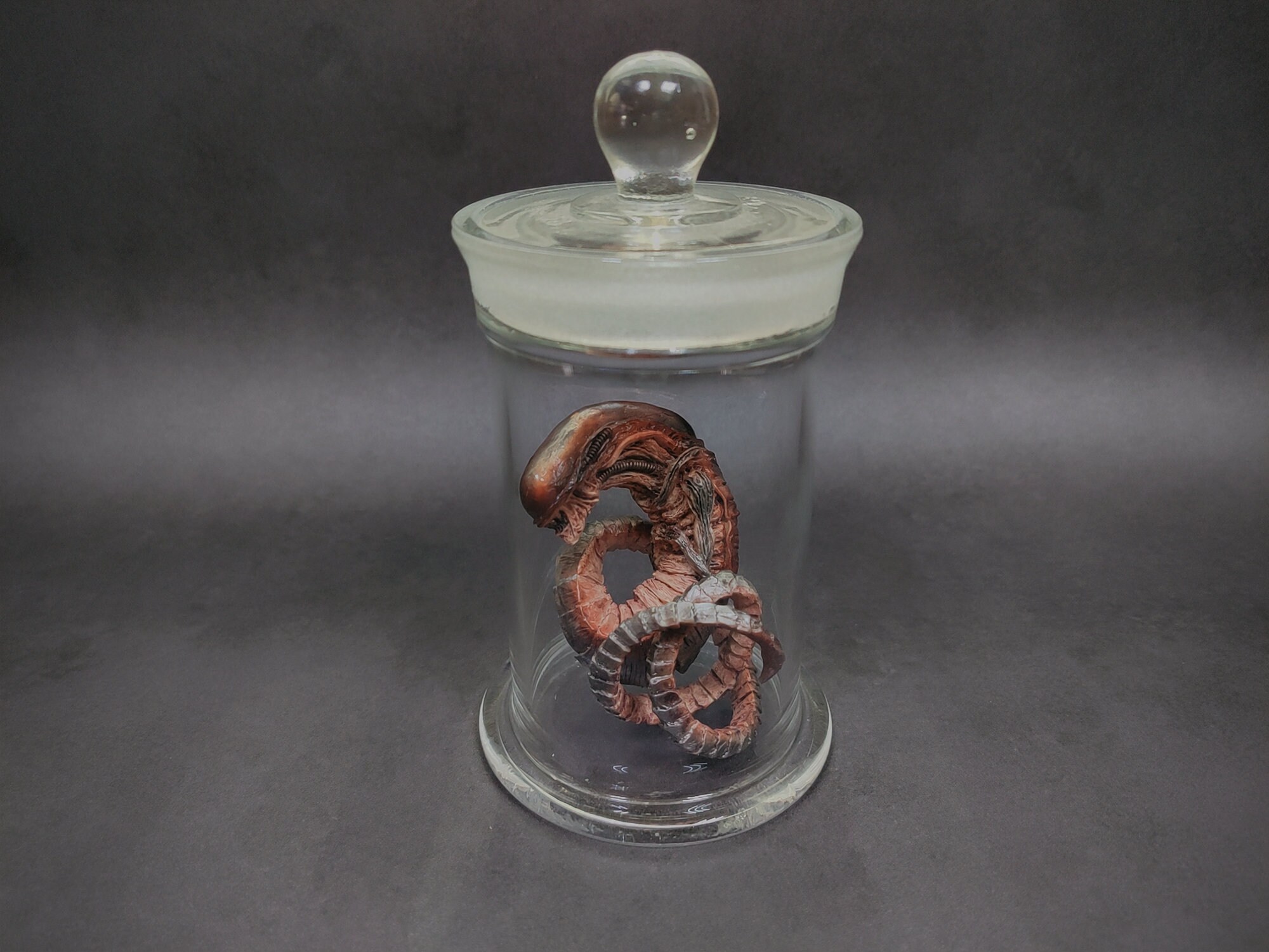 Alien Jar Xenomorph Specimen Chestburster Embryo Glass Jar - Etsy UK