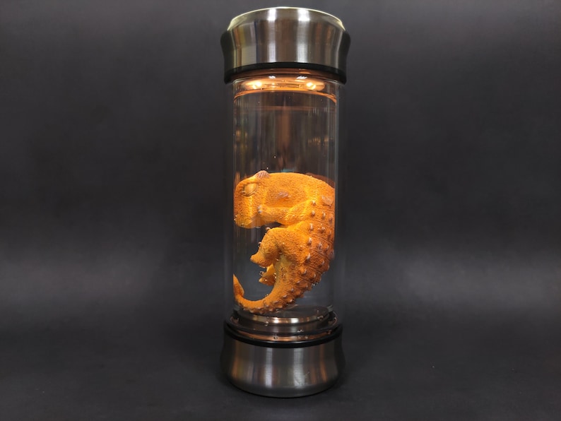 Jurassic Park Dinosaur Embryo Jar Jurassic World Velociraptor Blue ...