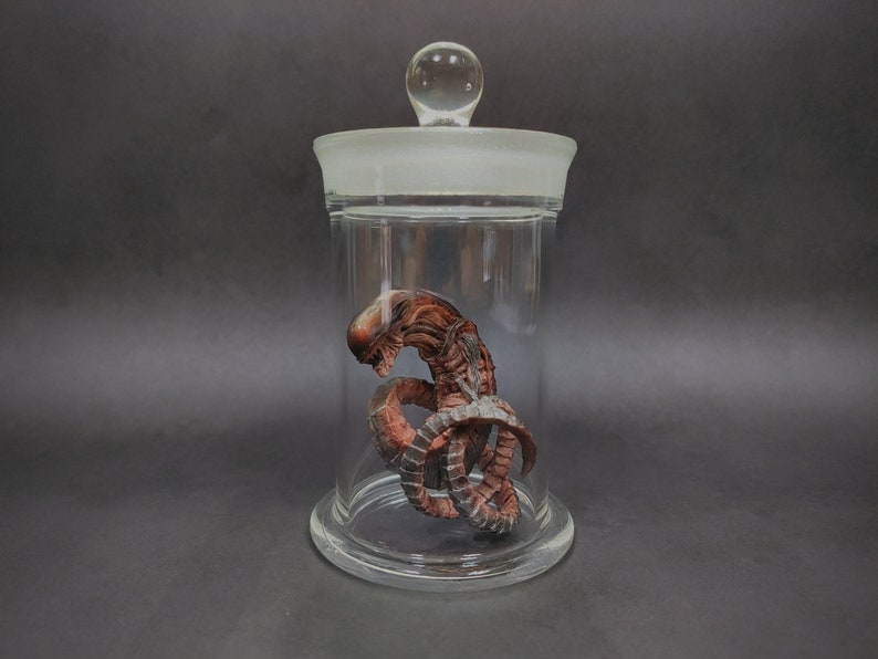 Alien Jar Xenomorph Specimen Chestburster Embryo Glass Jar - Etsy