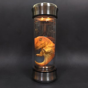 Jurassic Park Dinosaur Embryo Jar Jurassic World Velociraptor Blue ...