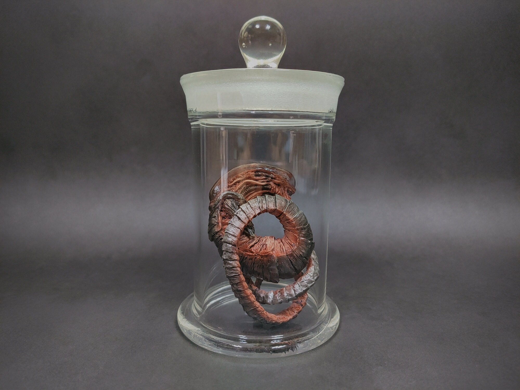 Alien Jar Xenomorph Specimen Chestburster Embryo Glass Jar - Etsy UK