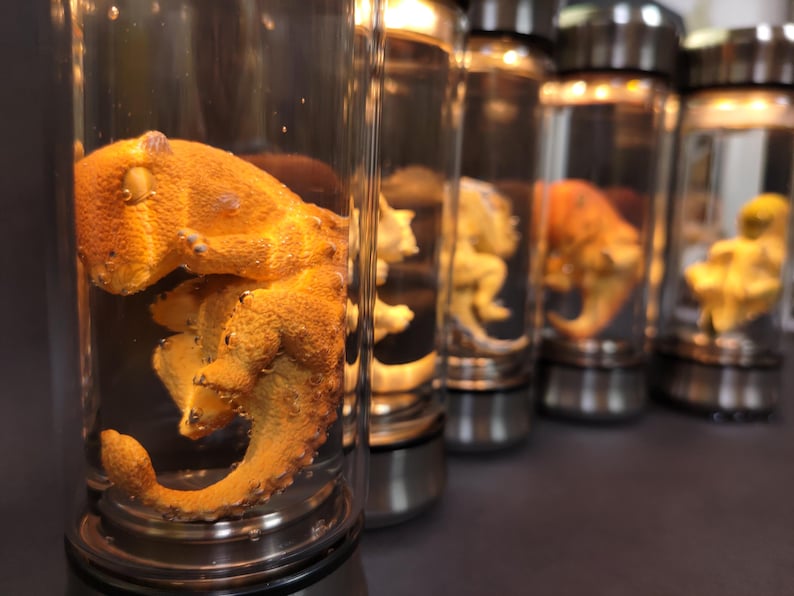 Jurassic Park Dinosaur Embryo Jar Jurassic World Velociraptor Blue ...