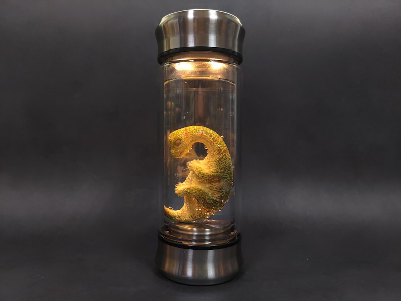 Jurassic Park Dinosaur Embryo Jar Jurassic World Velociraptor Blue ...